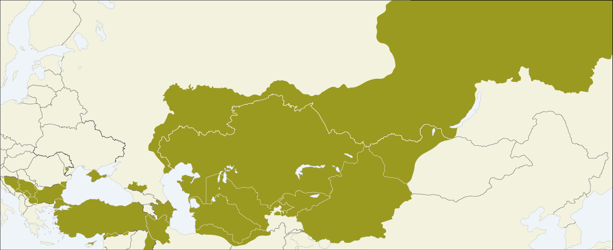 On the trail of the grey wolf: pan-Turkism in Turkey’s foreign policy ...