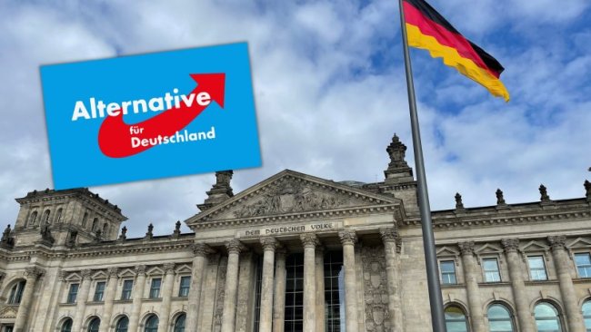Too green, too fast, too dear. The AfD is gaining popularity in Germany ...